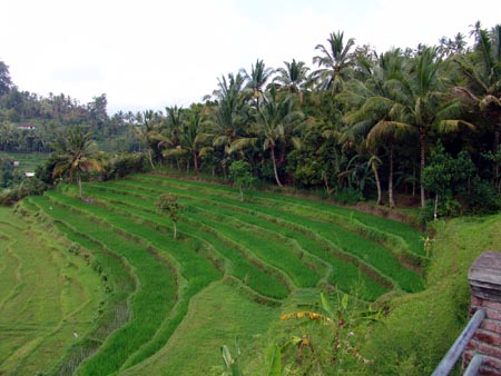 Untitled Document [www.yachtaragorn.com]